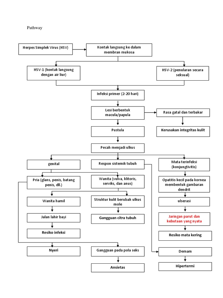 Pathway Herpes Simpleks