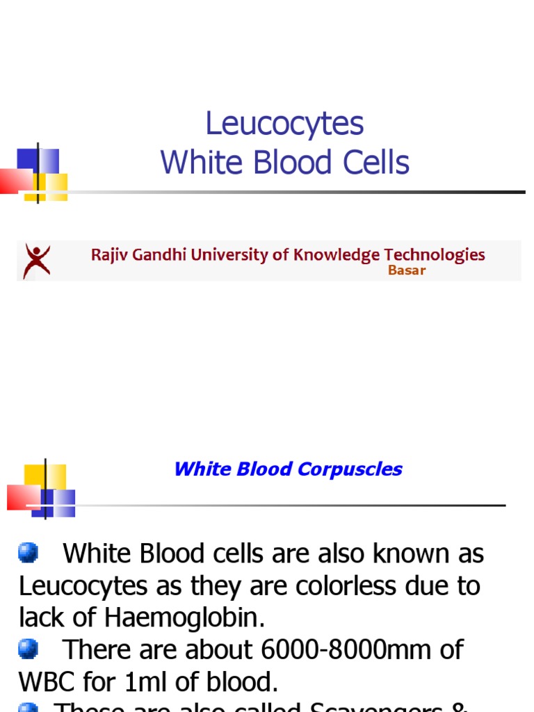 White Blood Corpuscles | PDF | Granulocyte | White Blood Cell
