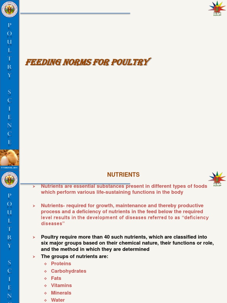 Feeding Norms Poultry76 | PDF | Nutrients | Poultry