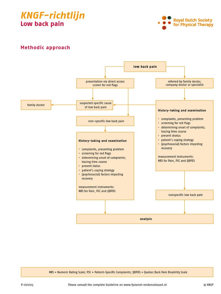 Dutch LBP Physiotherapy Flowchart | PDF | Low Back Pain | Back Pain