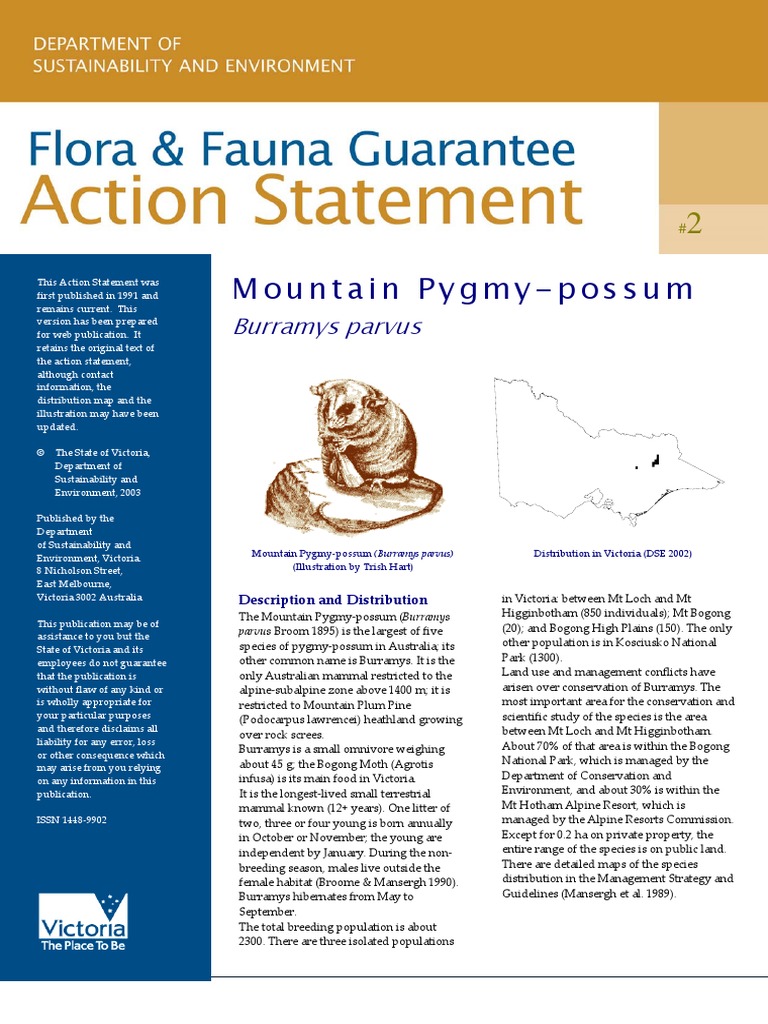 Mountain Pygmy-Possum Burramys Action Statement | PDF | Conservation ...