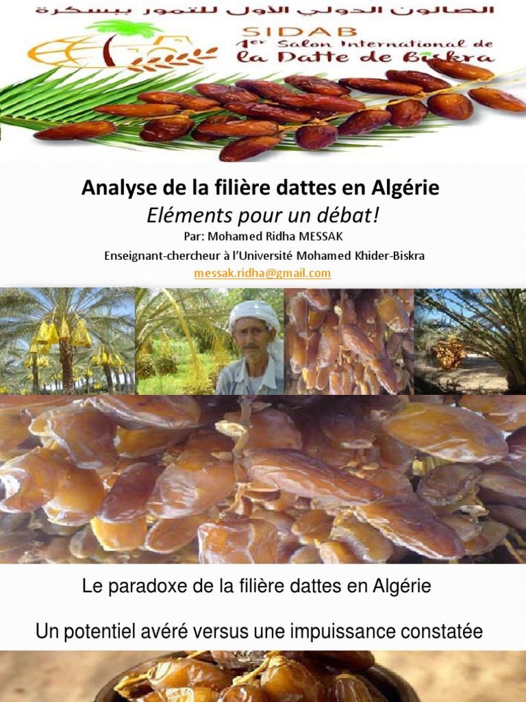 Filière des Dattes de Biskra en Algérie | PDF | Chaîne de valeur ...