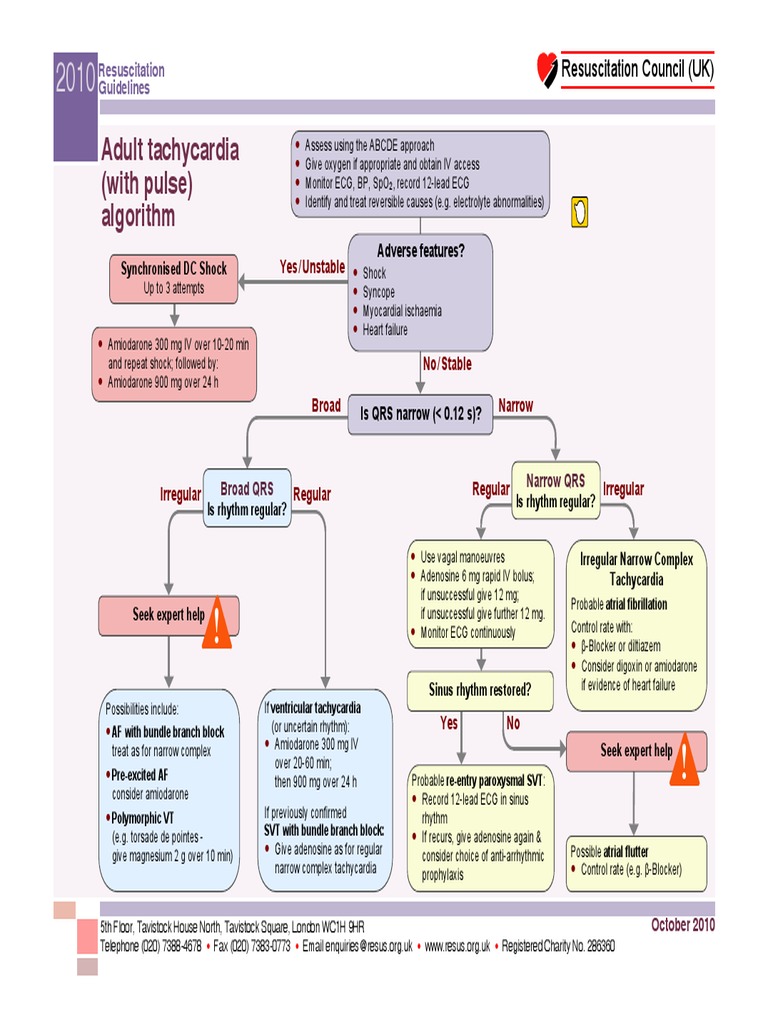 Adult Tachycardia (With Pulse) Algorithm | Electrocardiography | Cardiology