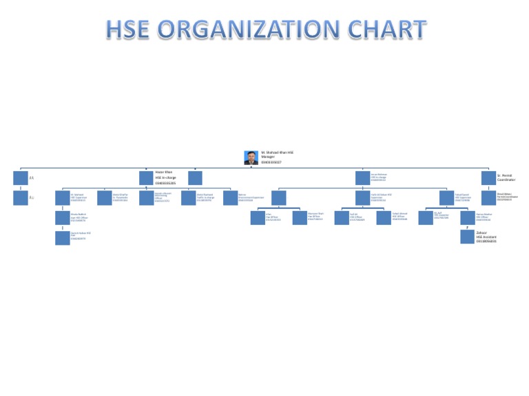 HSE Organization Chart | Violence | Free 30-day Trial | Scribd