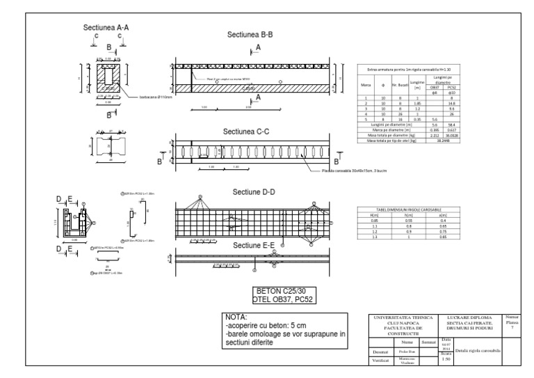 Detalii Rigola Carosabila PDF | PDF