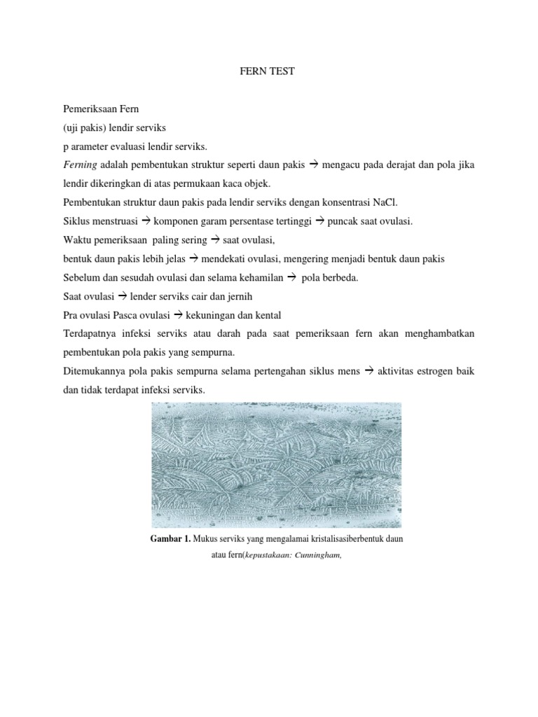Test Fern | PDF | Sains & Matematika