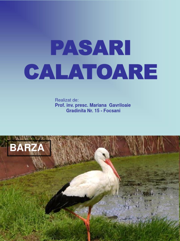 Pasari Calatoare | PDF