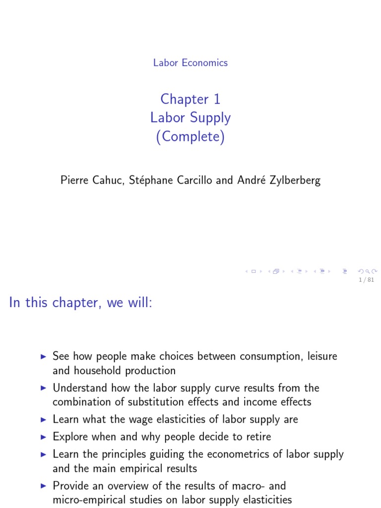 Labor Supply Insights | PDF | Labour Economics | Supply (Economics)
