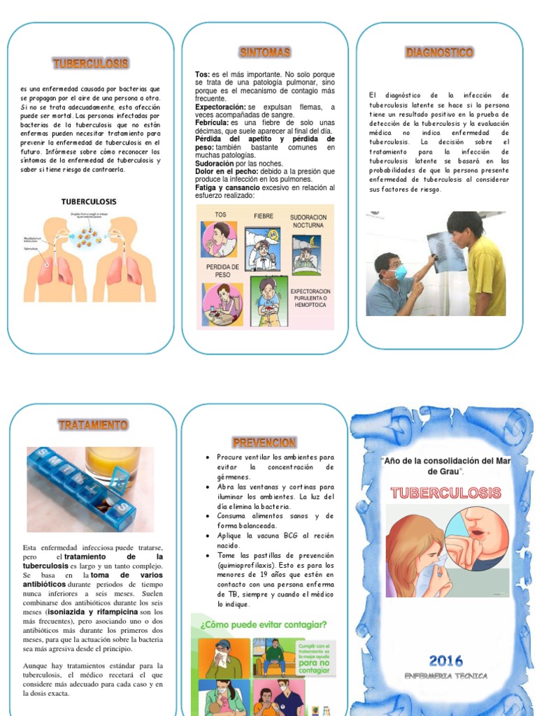 TRIPTICO Tuberculosi | PDF | Tuberculosis | Enfermedades y trastornos
