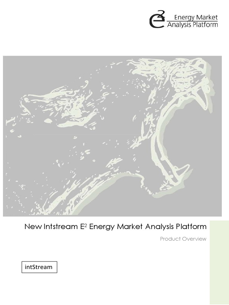 E2 Product Overview Online | PDF