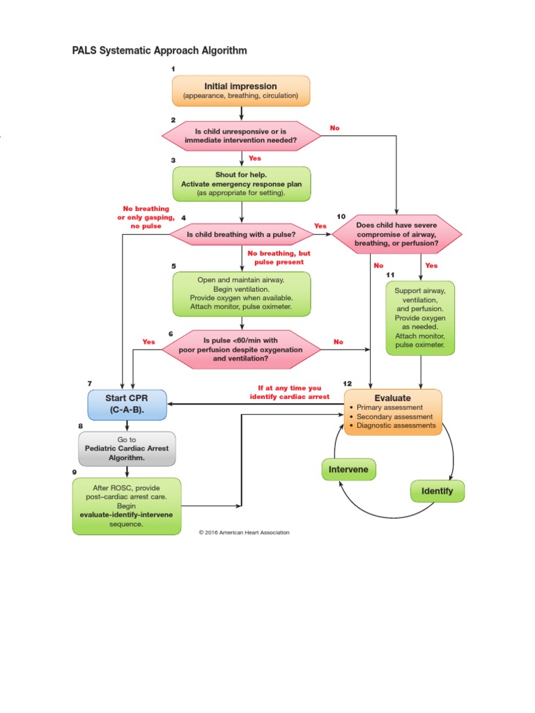 System Approach Algorithm | PDF | Cardiac Arrest | Cardiopulmonary ...