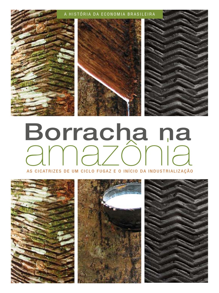 História Da Amazônia PDF | PDF | Brasil | Rio Amazonas