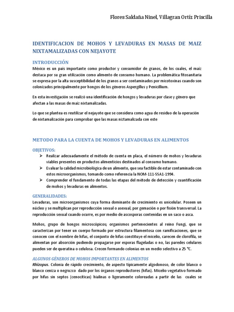 Identificacion de Mohos y Levaduras en Masas de Maiz Nixtamalizadas Con ...