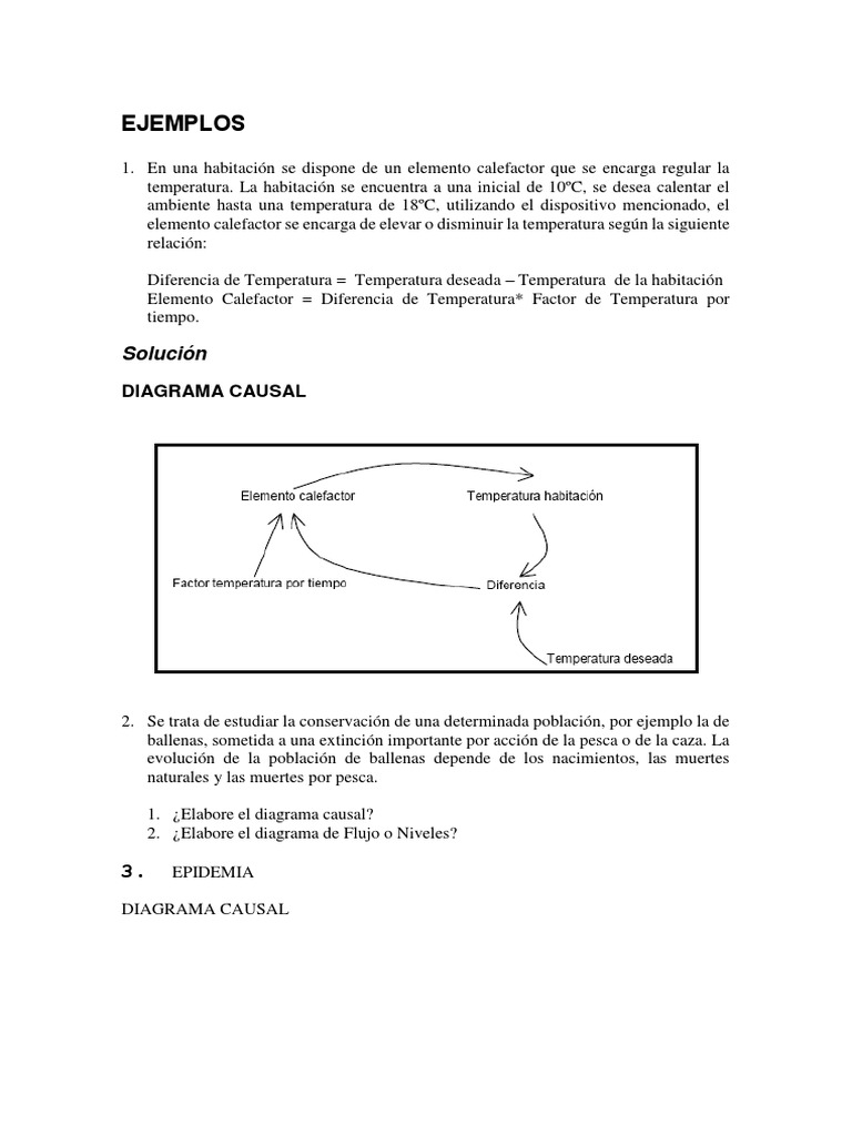EJEMPLOS Guia Practica DIAGRAMA CAUSAL | PDF