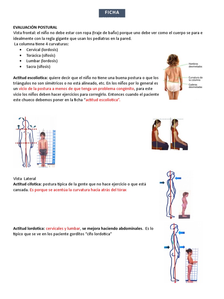 Evaluación Postural Final | PDF | Anatomía humana | Anatomia animal