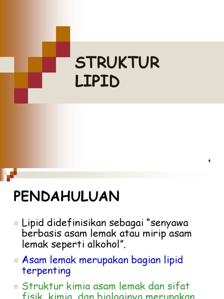 Struktur Lipid Mei2012 | PDF