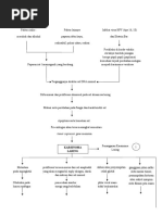 Pathway Placenta Previa | PDF