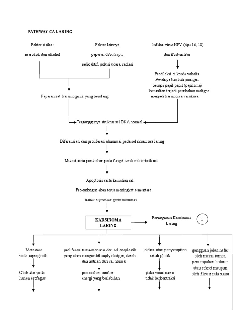 Pathway CA Laring | PDF