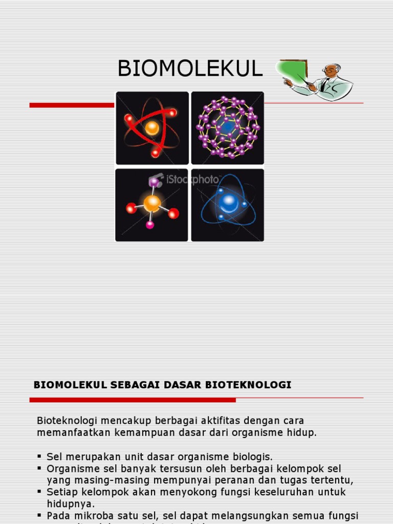 Biomolekul dan Bioteknologi | PDF | Kesehatan Holistik | Sains & Matematika