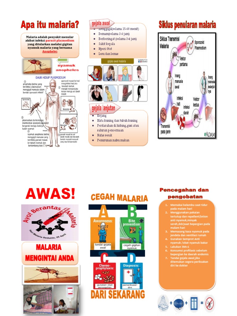 Leaflet Malaria | PDF