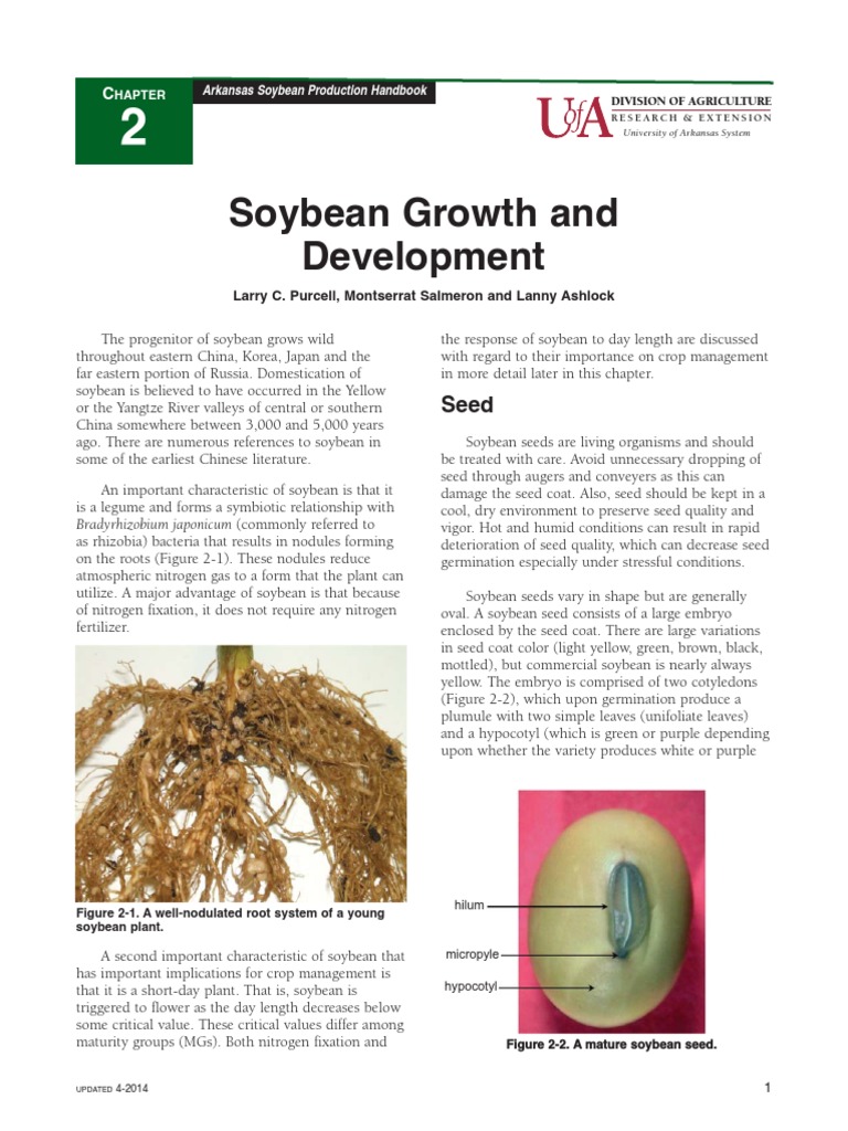 Soybean Seed Structure Overview | PDF | Seedling | Seed