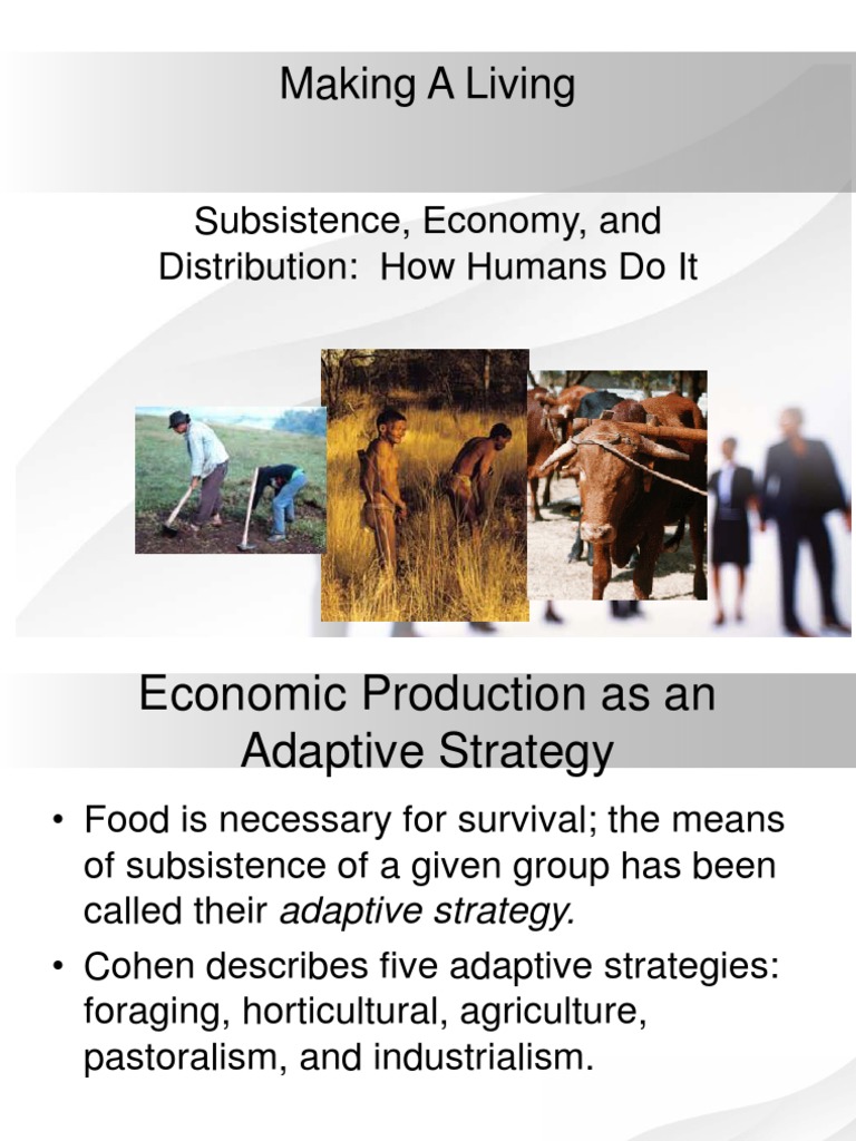 Making A Living: Subsistence, Economy, and Distribution: How Humans Do ...