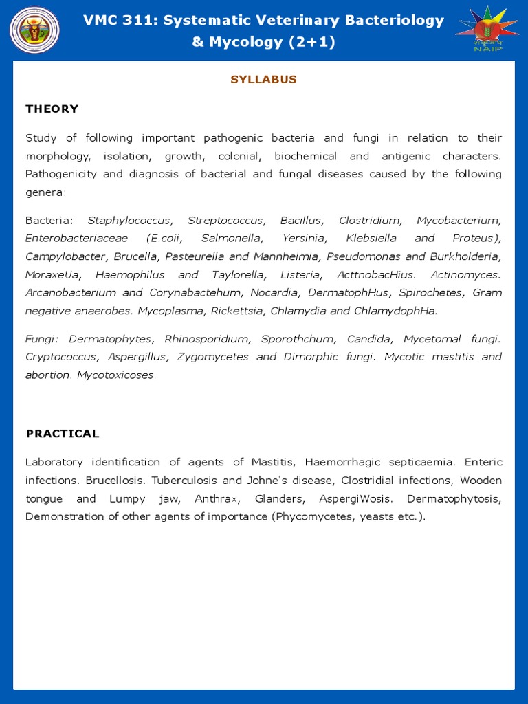 VMC 311-Syllabus | PDF