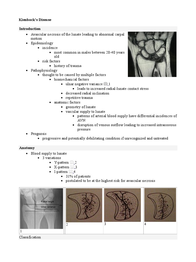 Kienbock's Disease | PDF | Diseases And Disorders | Clinical Medicine