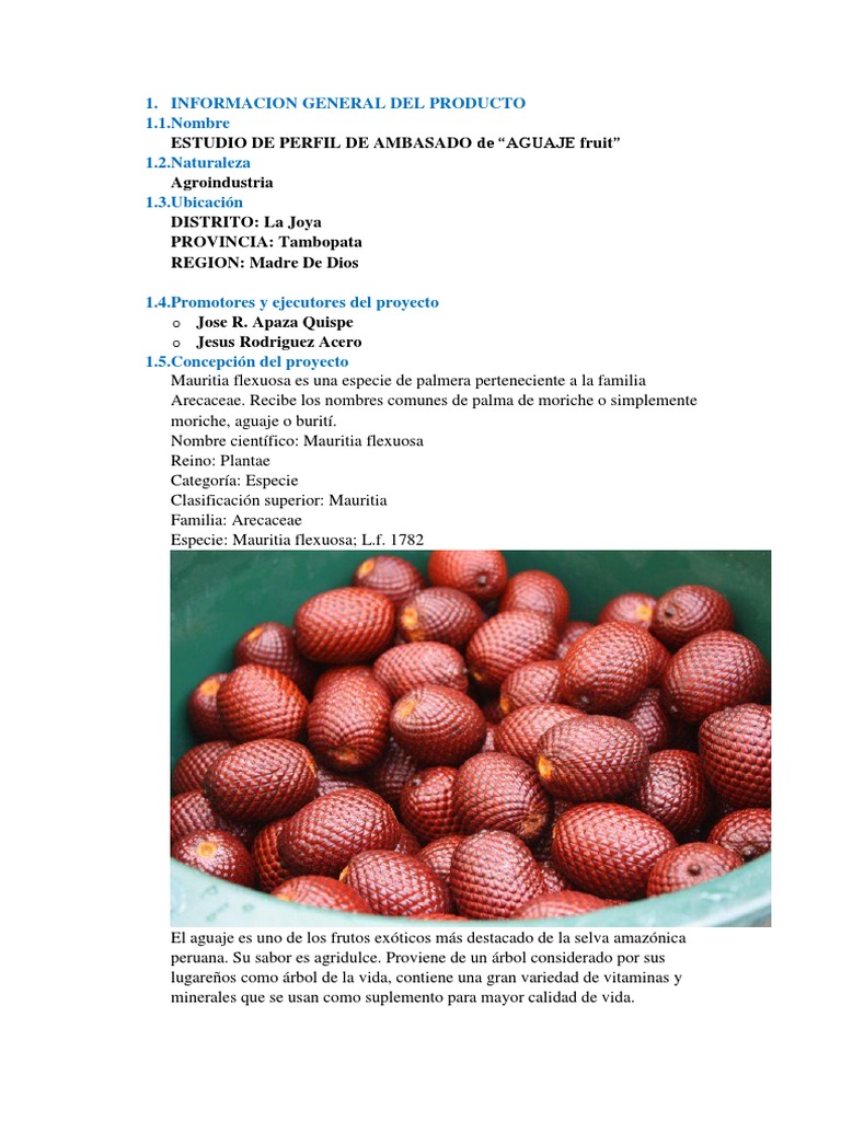 Esquema Del Proyecto | Descargar gratis PDF | Producto (Negocio) | Mercado (economía)