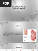 Patofisiologi Urolithiasis | PDF