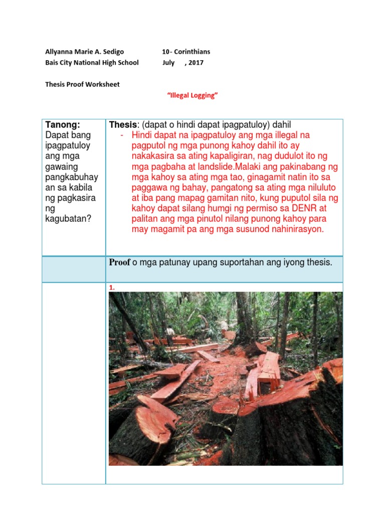 Illegal Logging | PDF