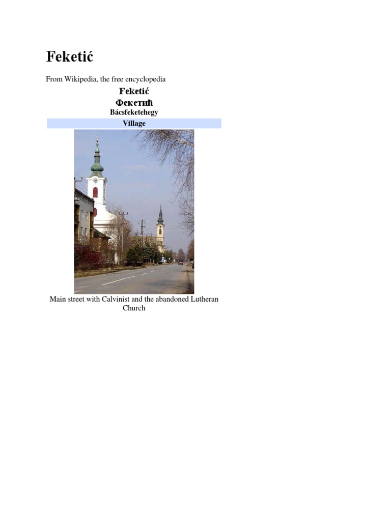 Feketić | PDF | Websites | World Wide Web