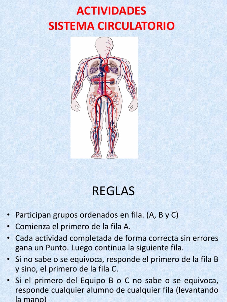 Juego Actividades Sist. Circulatorio | Descargar gratis PDF | Sistema ...