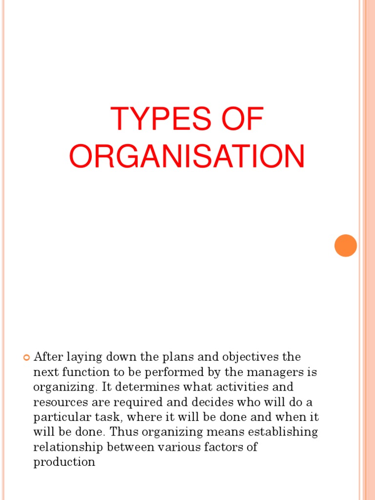 Bca Organising | PDF | Organizational Structure | Division Of Labour