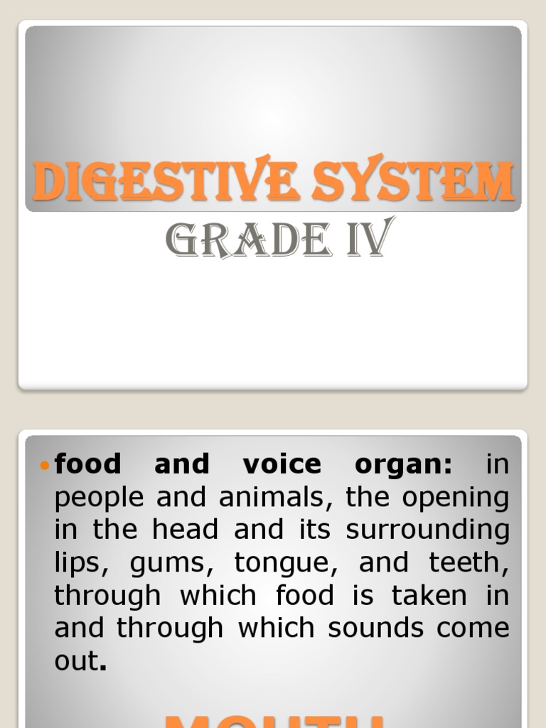 Digestive System: Grade Iv | PDF | Foreign Language Studies | Wellness