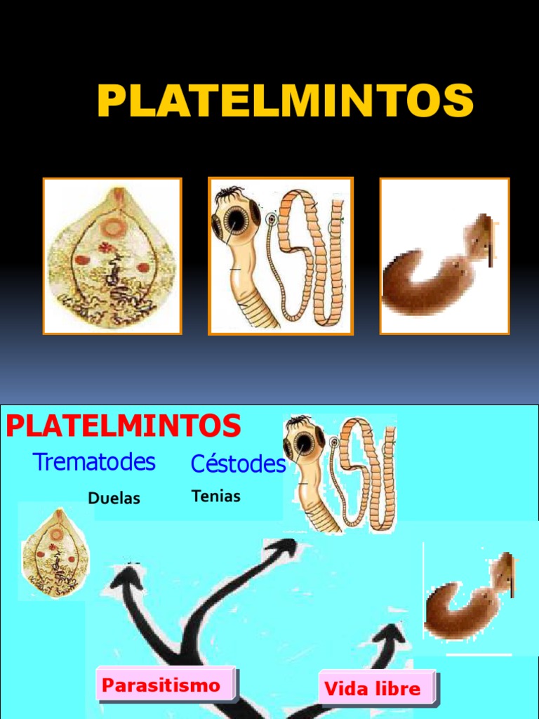 Platelmintos Plus Medica