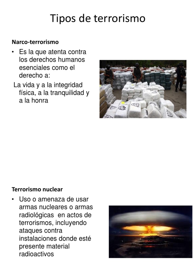 Tipos de Terrorismo | PDF | Guerra | Abusos de derechos humanos