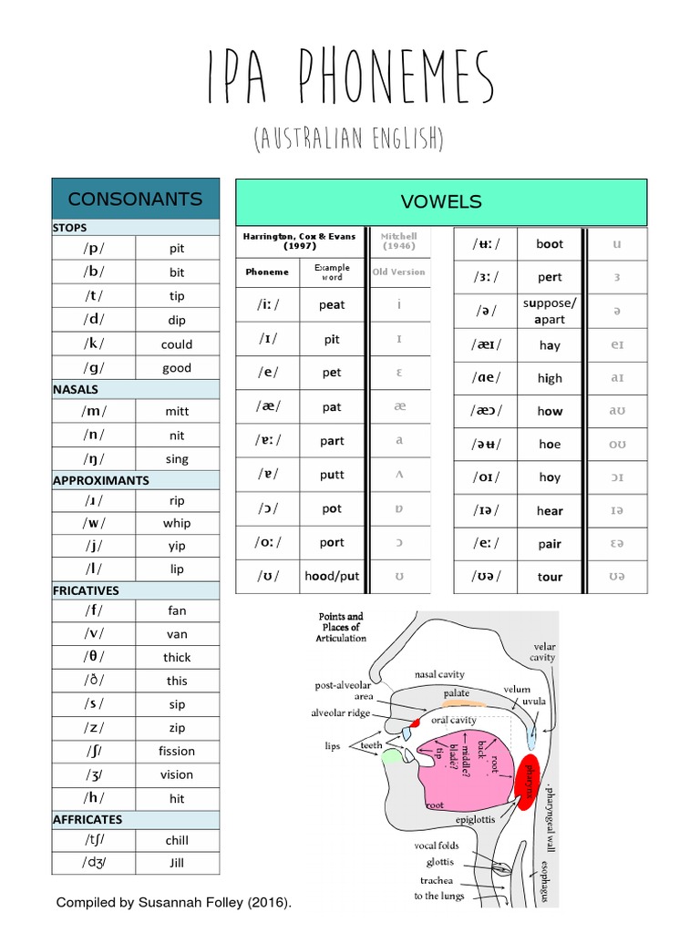 Australian English IPA Vowel Chart | PDF