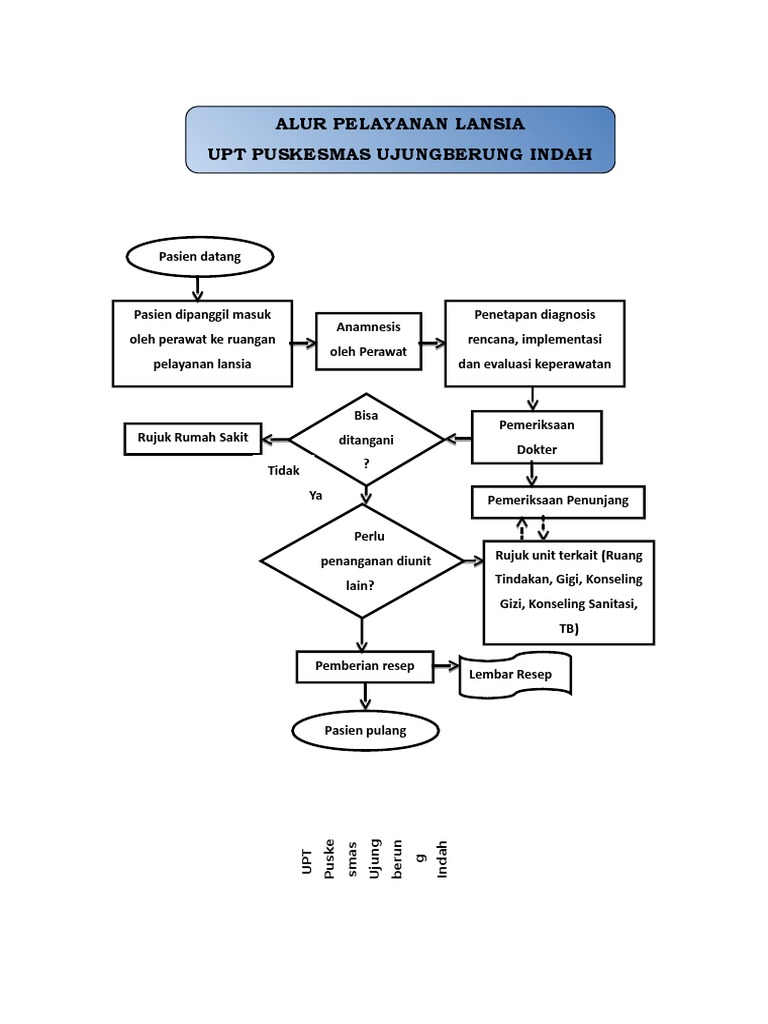 Alur Pelayanan Lansia | PDF