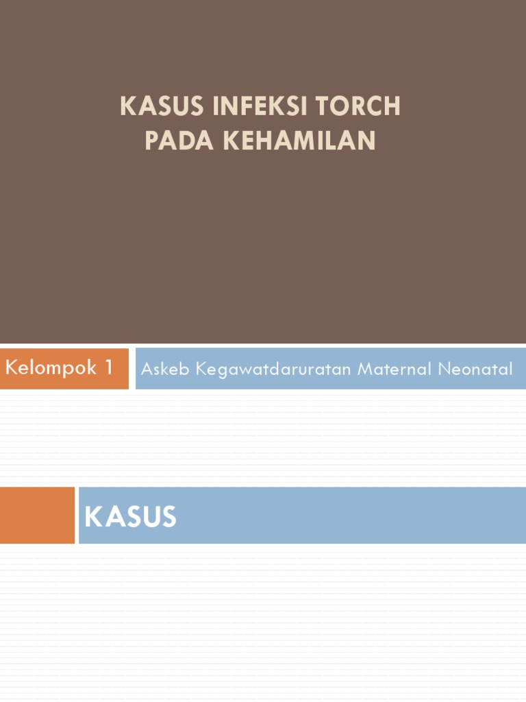 Kasus Infeksi Torch | PDF
