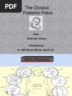 Kode ICD 10 Kasus Obsgyn | PDF | Mammal Reproductive System | Animal ...