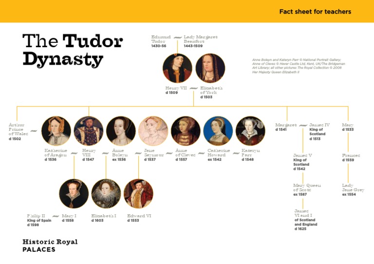 Factsheet Tudordynasty PDF | PDF | House Of Tudor | House Of Dinefwr