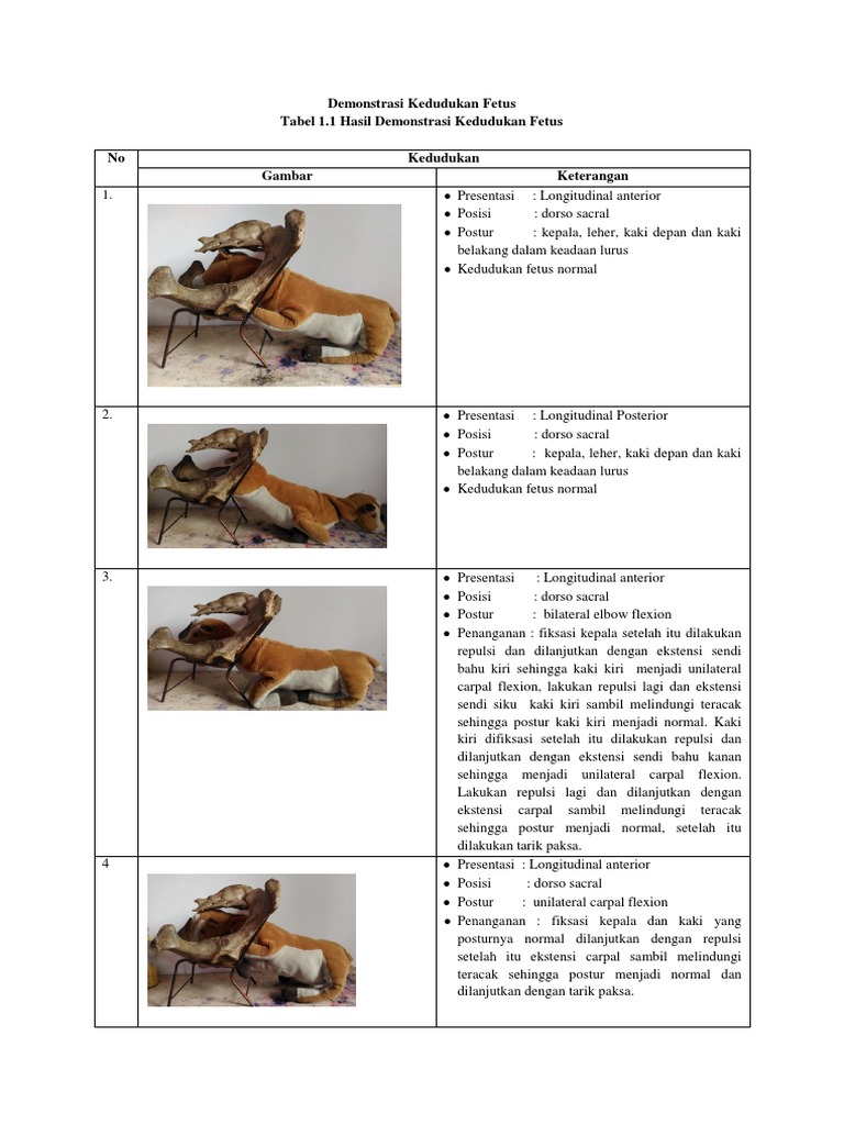 Hasil Distokia Sapi Fix | PDF | Kesehatan Holistik