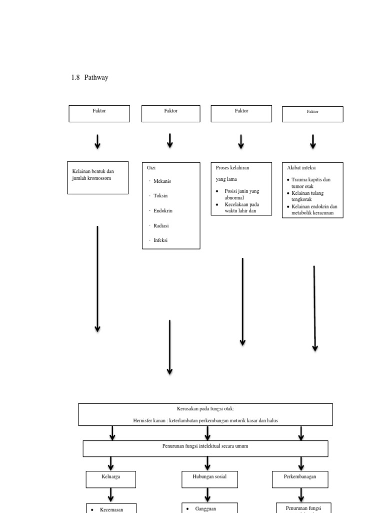 Pathway Retardasi Mental Ok | PDF