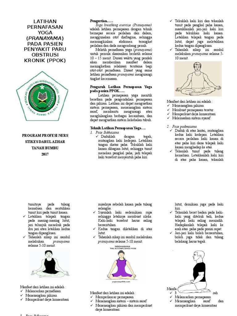 Leaflet Terapi PPOK | PDF