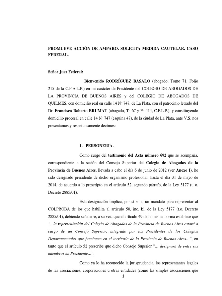 Modelo Amparo | PDF | Regulación | Derecho Constitucional