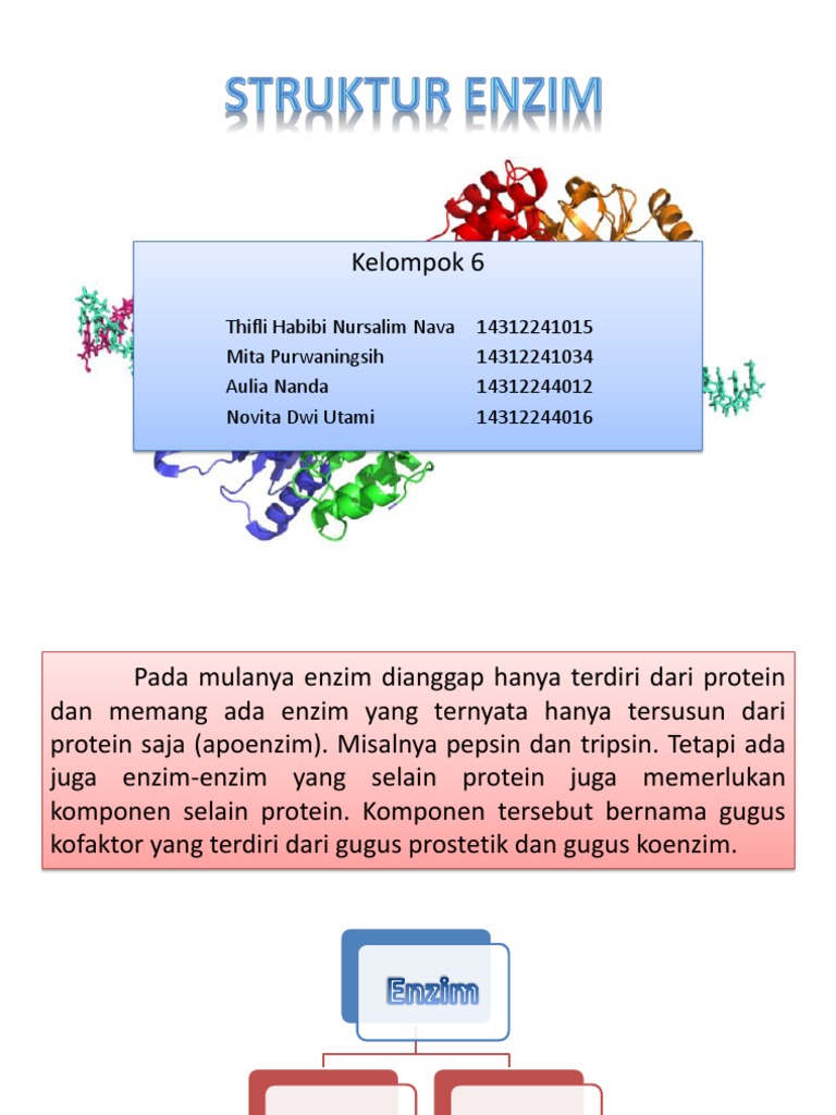 Struktur Enzim | PDF