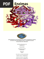 Zimogenos o Proenzimas | PDF | Salud y bienestar