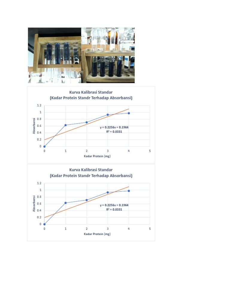 Print Modul 5 PDF | PDF