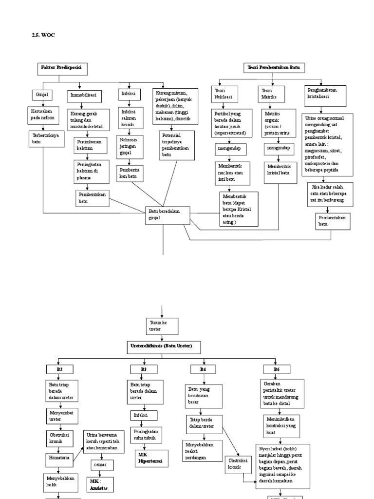 Pathway Batu Ureter | PDF